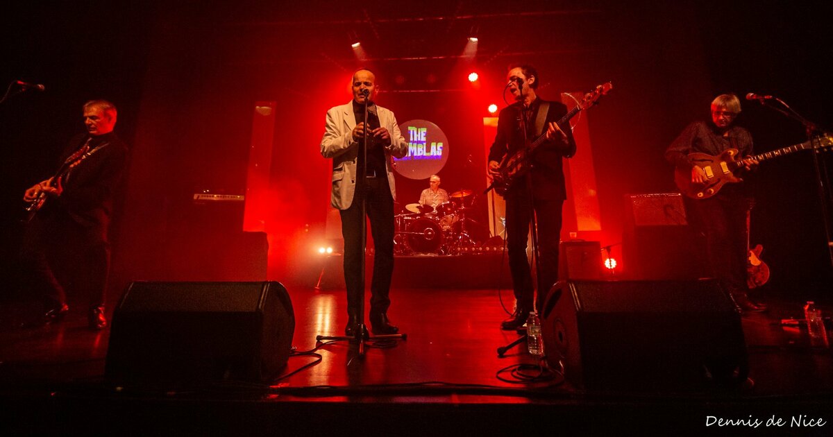 Bratch : Des Dum Dum Boys aux Zemblas, le parcours d’un enfant du rock ...